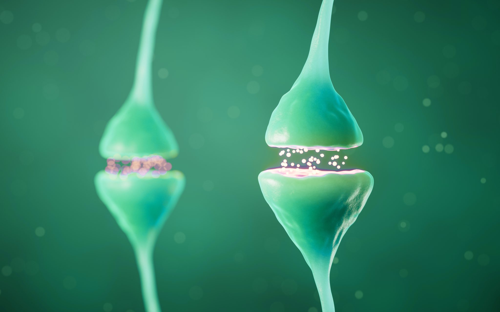 Effective Neural Mobilization for Nerve Health in Michigan